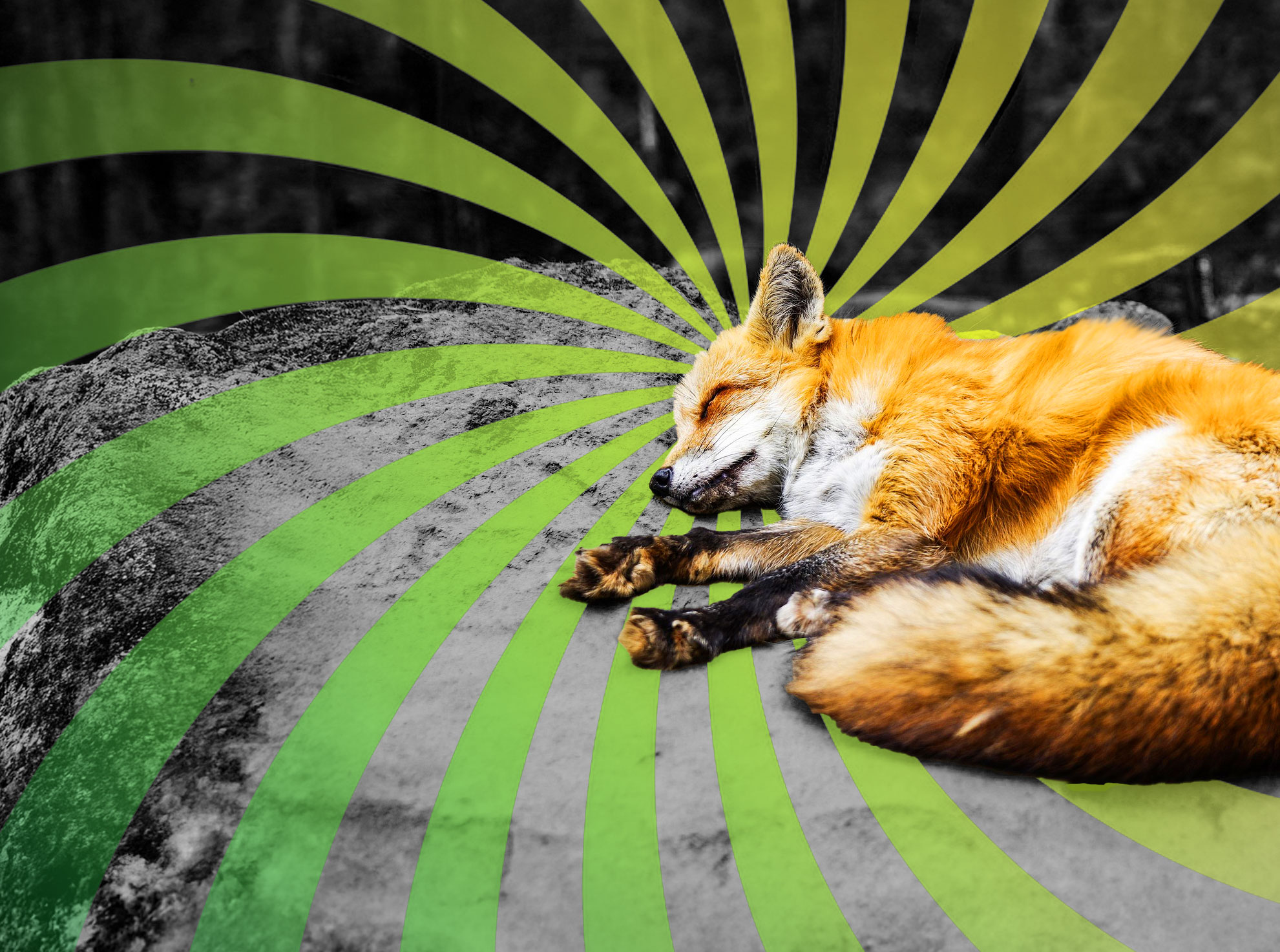 Hypno Powernap – Yall Hypnosis